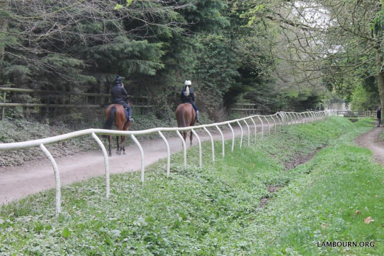Lambourn Open Day 2017 | Lambourn