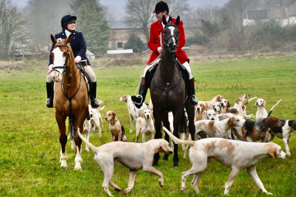Vine and Craven Boxing Day Hunt 2019 | Lambourn