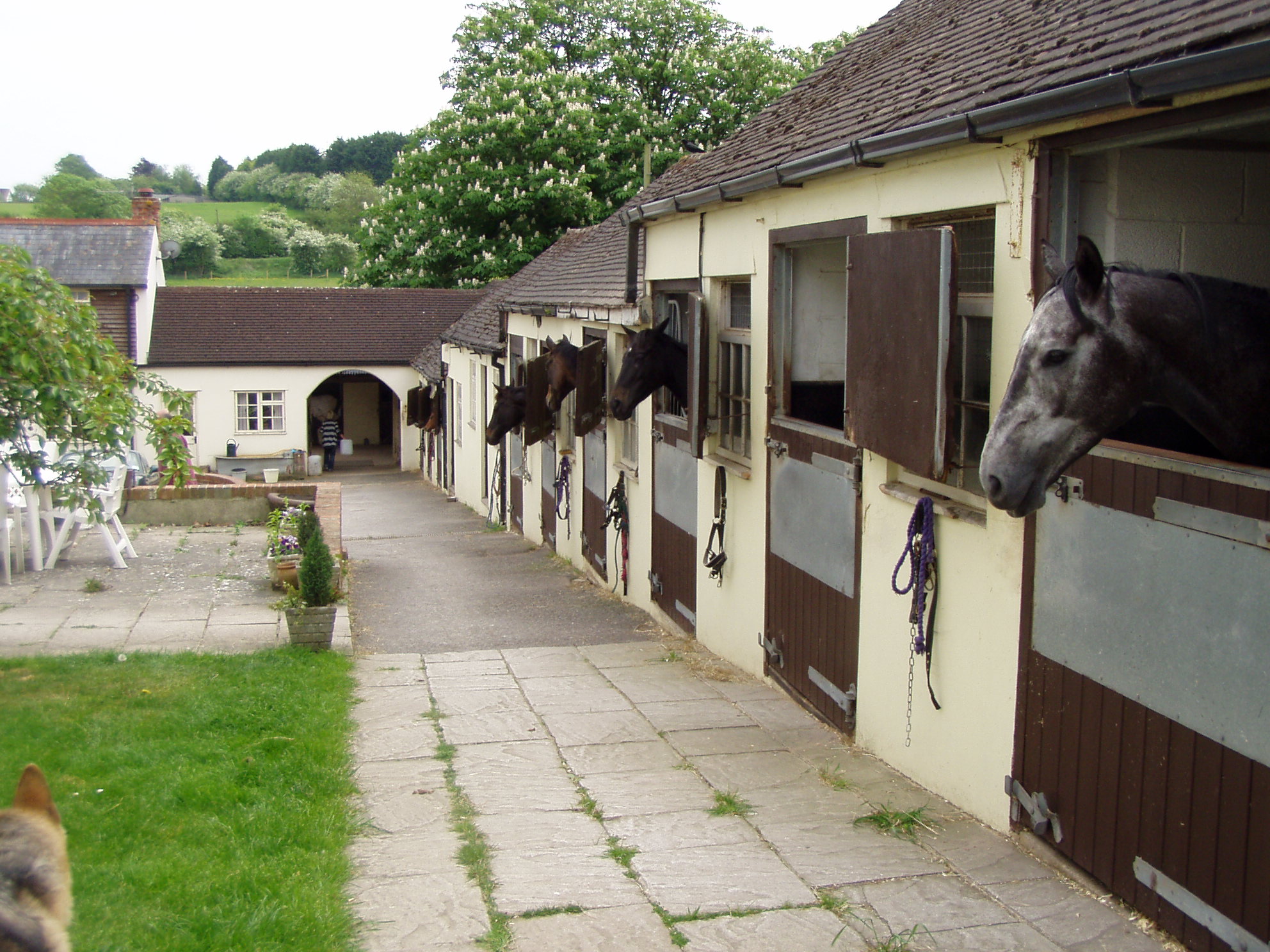 Delamere Stables – Baydon Road | Lambourn