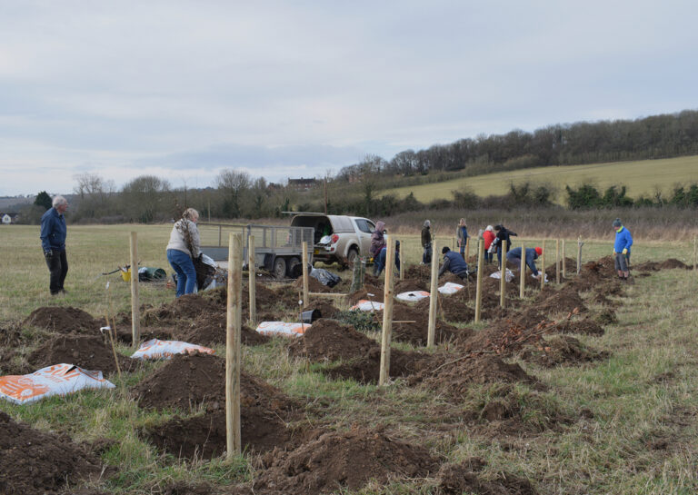 Queens Green Canopy Project – planting commences | Lambourn
