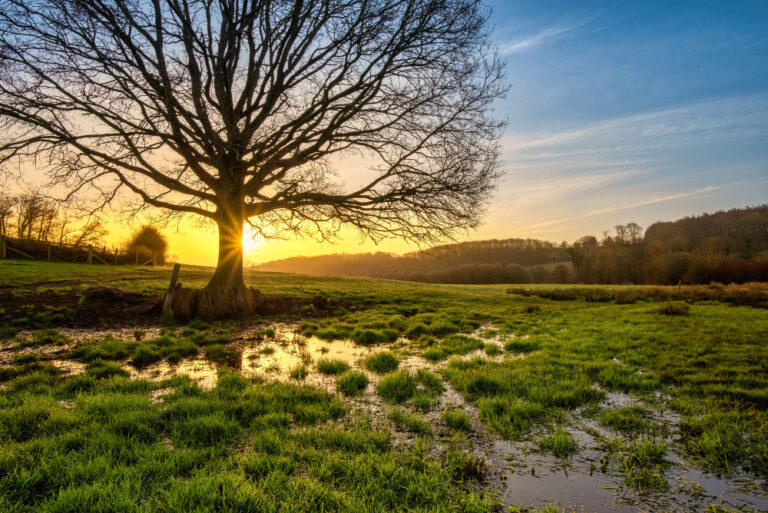 Lambourn, England - the official village website