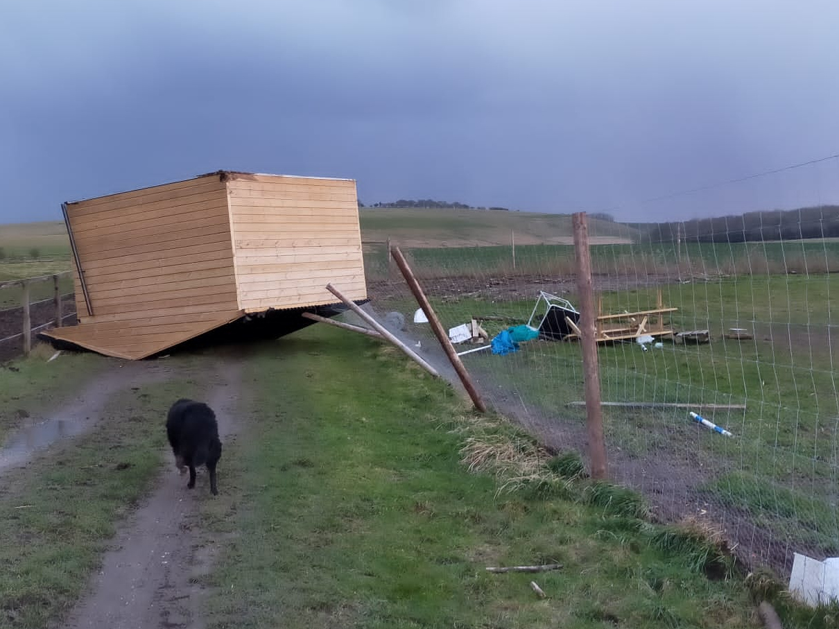 Storm Damage | Lambourn