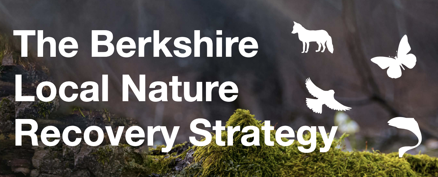Berkshire’s Nature Recovery: A Call to Action for Lambourn Residents ...